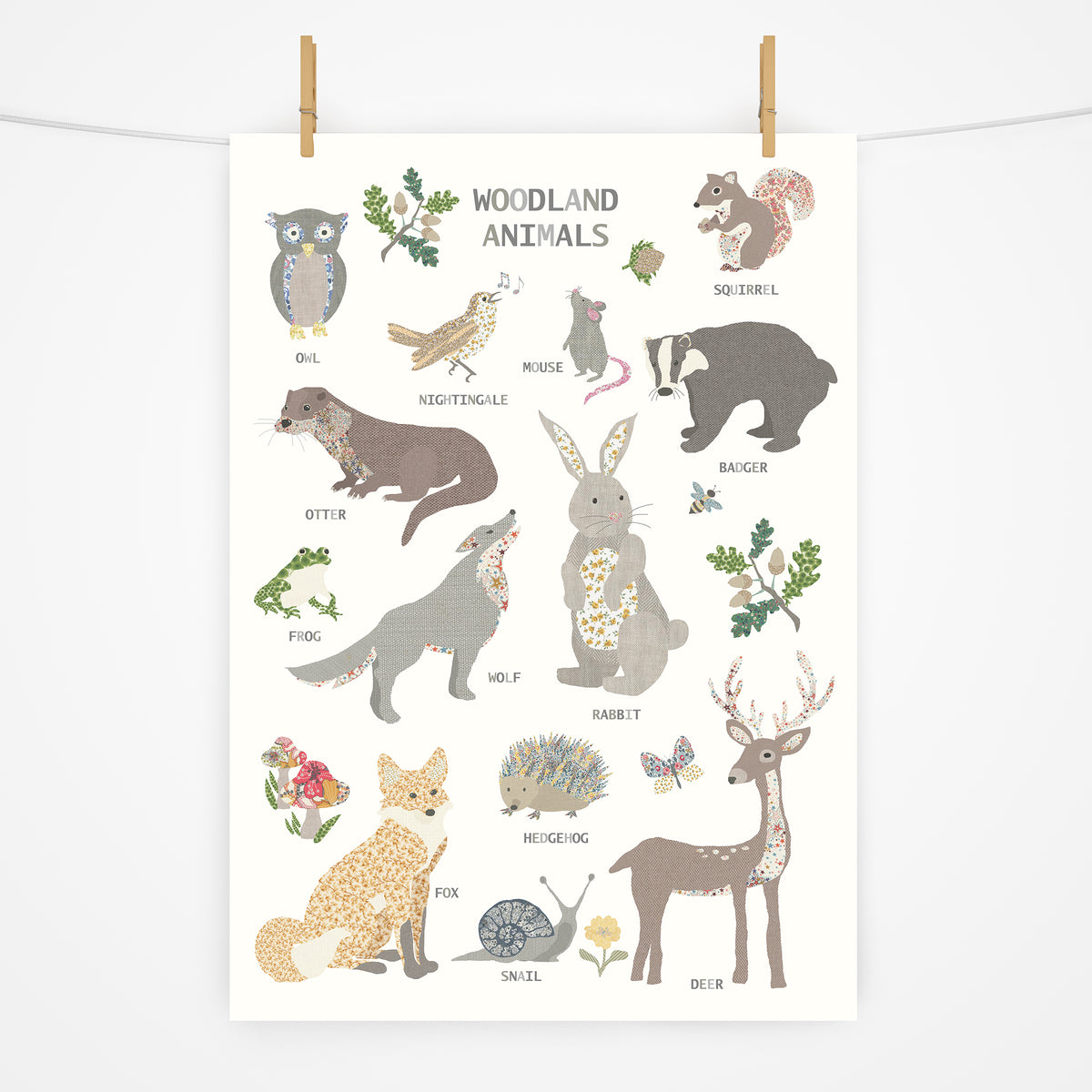 Woodland Animals | Fact Sheet – Dustypinksandpolarbears